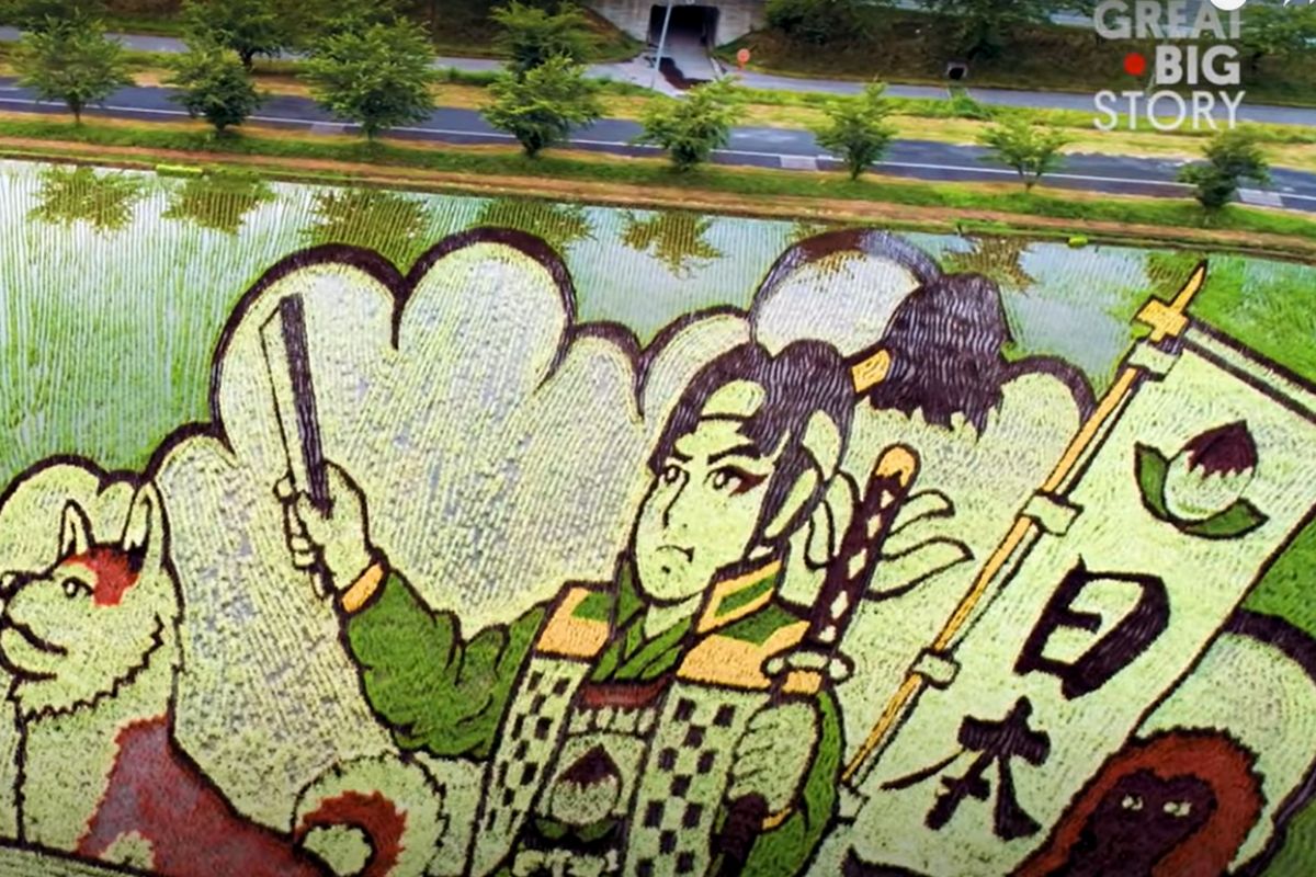 Poznáte umenie Rice Pady Art? Ryžové obrazy zdobia Japonsko